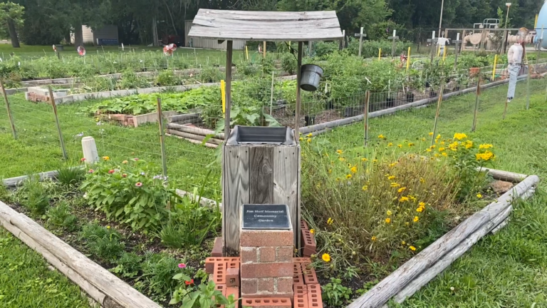 Sugar Land Methodist Community Garden Celebrates 40th Anniversary ...